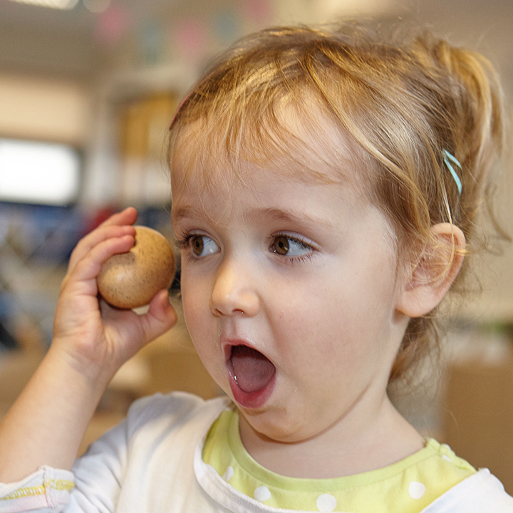 Sound Eggs - Early Years Direct