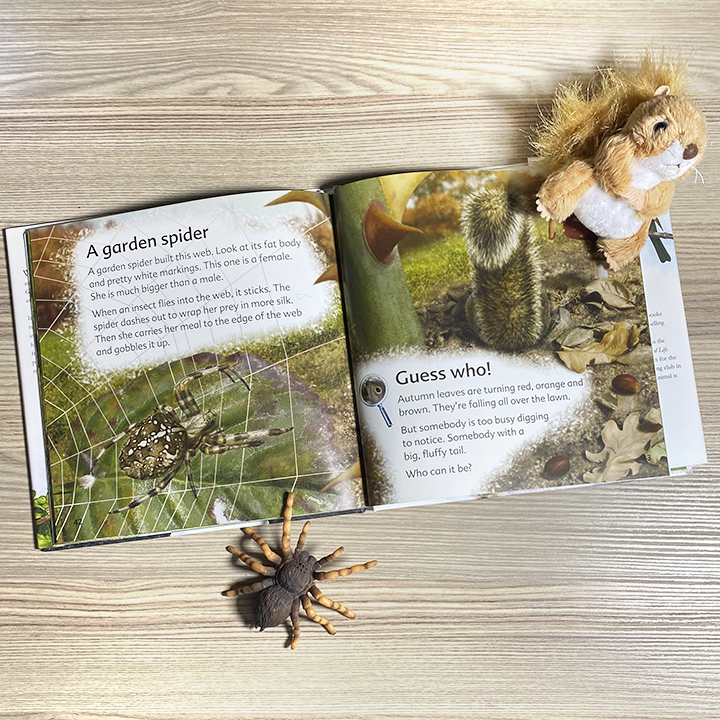My First Garden Bugs, Birds and Wildlife Books - Early Years Direct