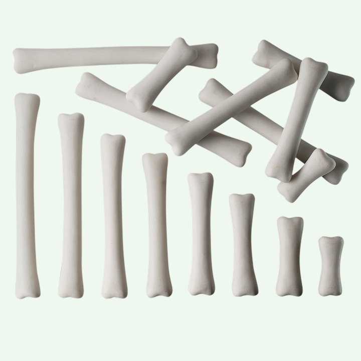 Dinosaur Bones Early Years Direct dinosaur-bones-early-years-direct