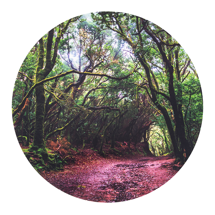 Sensory Discovery Table with Forest Play Mat - Early Years Direct